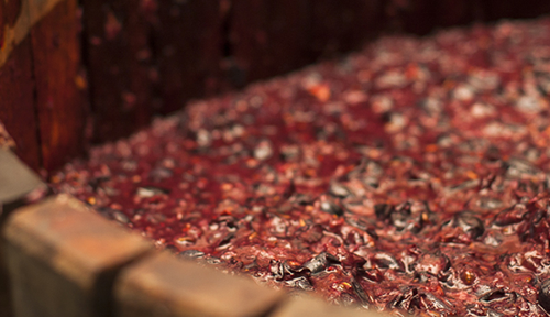 Wine Must Heat Exchangers for Fermentation